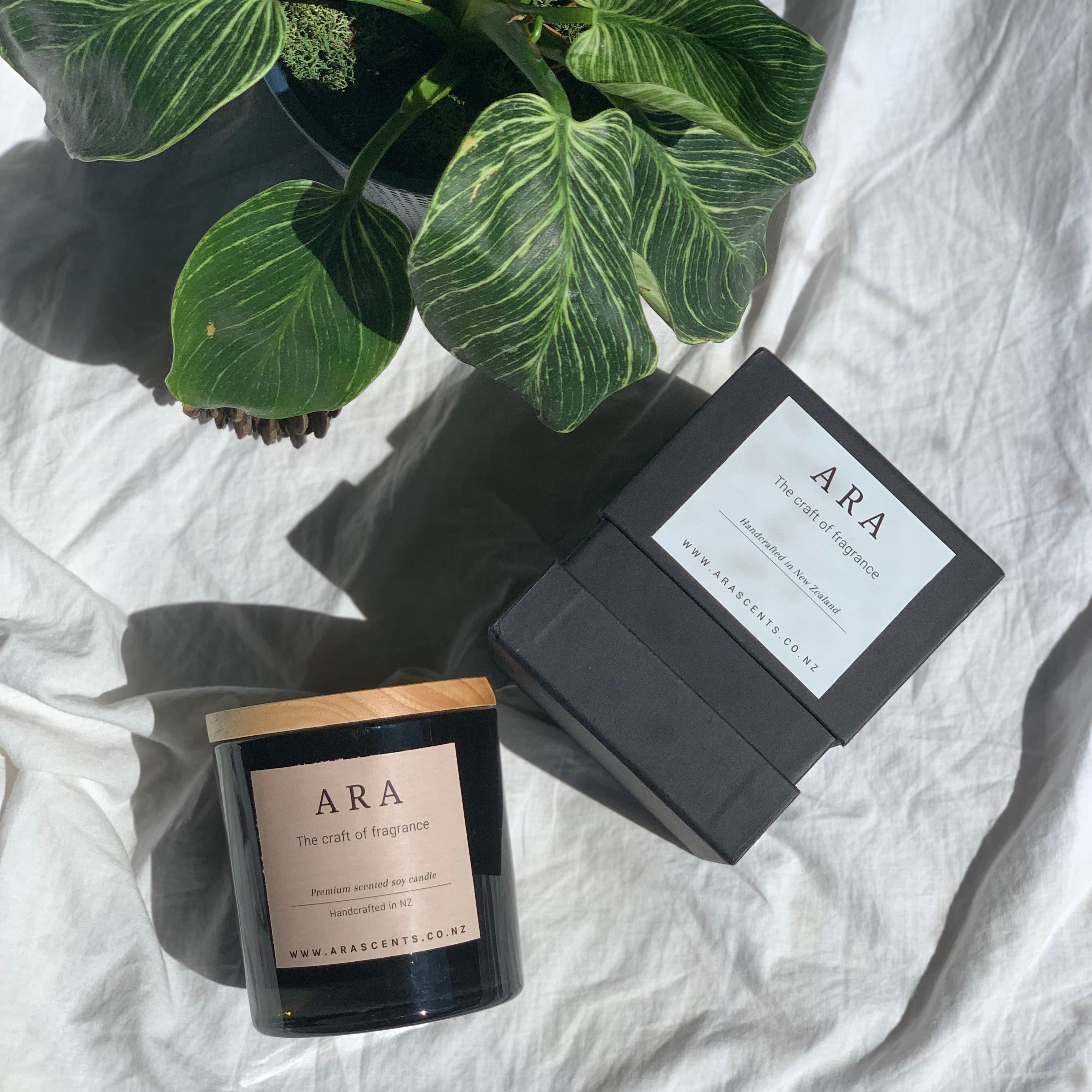 Clearance – ARA HOME